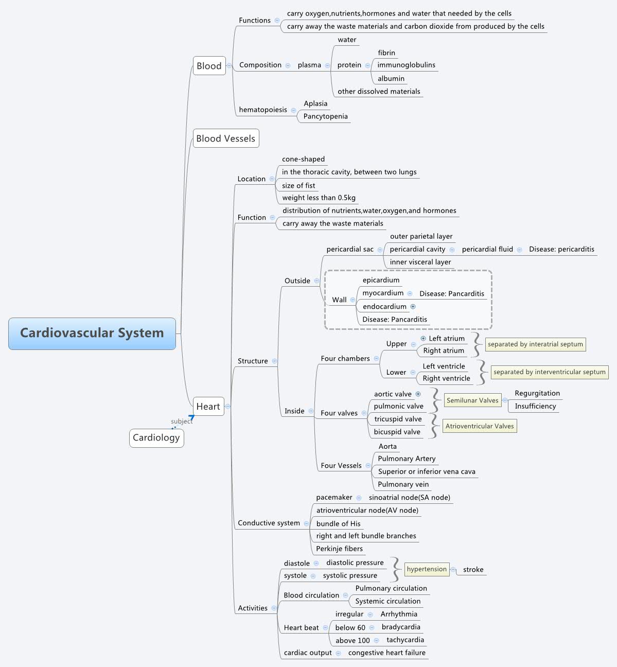 Concept Map Pulmonary And Systemic Circulations - Map