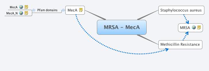 MRSA - MecA -- XMind Online Library