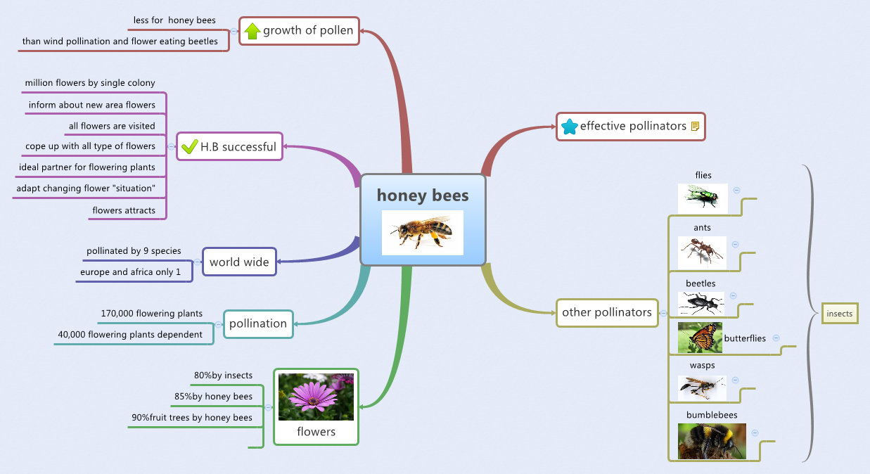 honey bees -- XMind Online Library